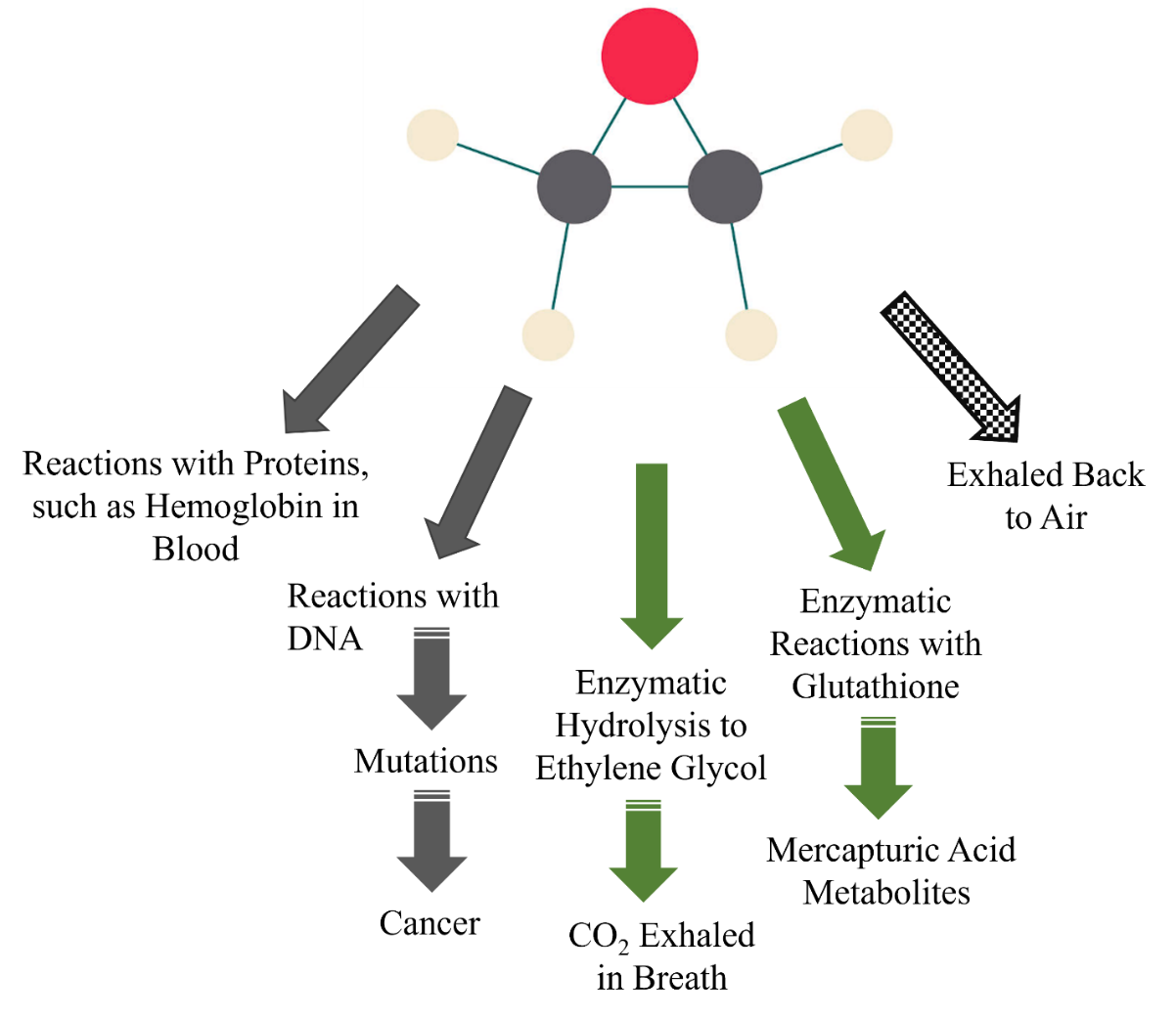 Ethylene Oxide Emissions Guidance